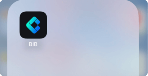 Buy/Sell Bitcoin, Ethereum and Altcoin | Spot/Perpetual Trading | BIB ...